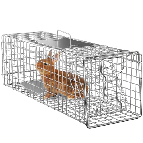 Amazon Best Sellers: Best Hunting Cage Traps