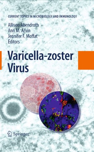 Varicella zoster Virus Current Topics In Microbiology And Immunology Book 342 English Edition varicella-zoster-virus-current-topics-in-microbiology-and-immunology-book-342-english-edition
