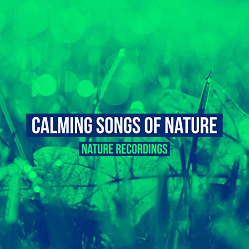 Calming Songs of Nature by Nature Recordings on Amazon Music - Amazon.co.uk