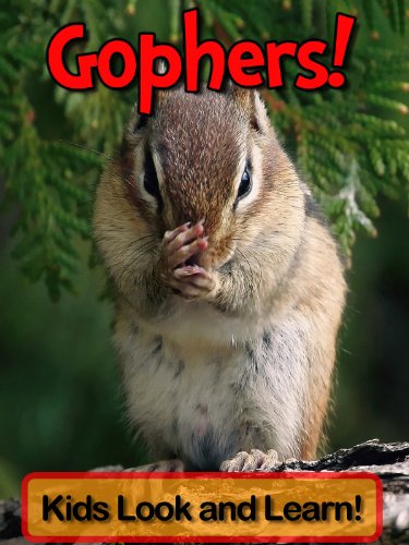 Gophers! Learn About Gophers and Enjoy Colorful Pictures - Look and ...
