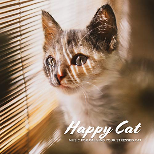 Amazon.com: Happy Cat. Music for Calming Your Stressed Cat : Classical ...