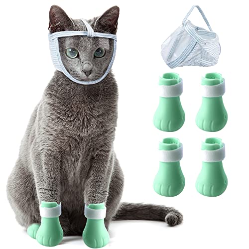 Maulkorb Katzen – Die 15 besten Produkte im Vergleich - HundeINFOPortal