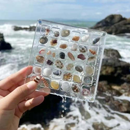 Amazon.com - Acrylic Magnetic Seashell Display Box,Portable Diamond ...