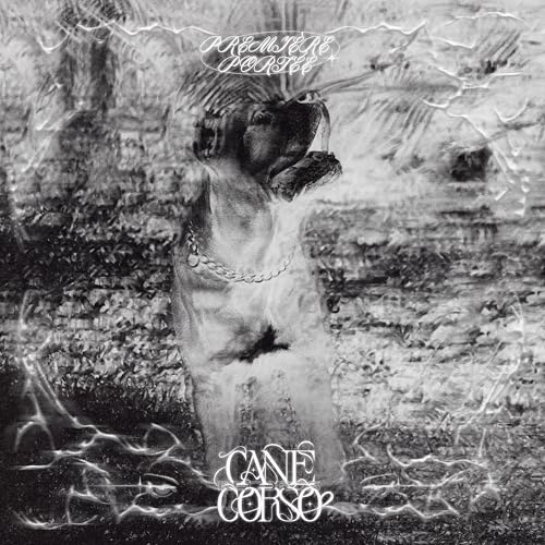 Too Honest by DJ Physical on Amazon Prime Music