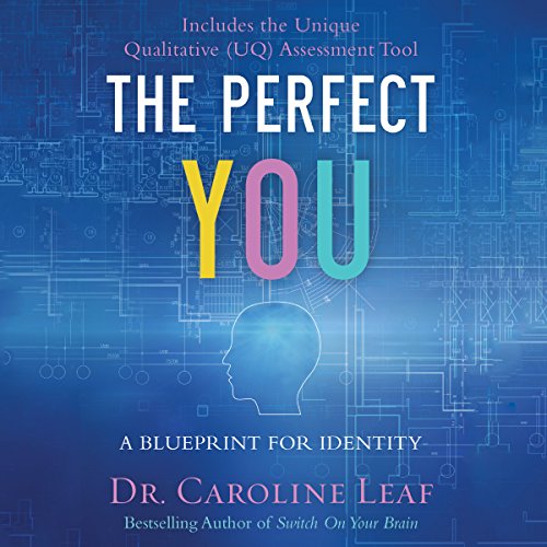The Perfect You: A Blueprint for Identity (Hörbuch-Download): Amazon.de ...
