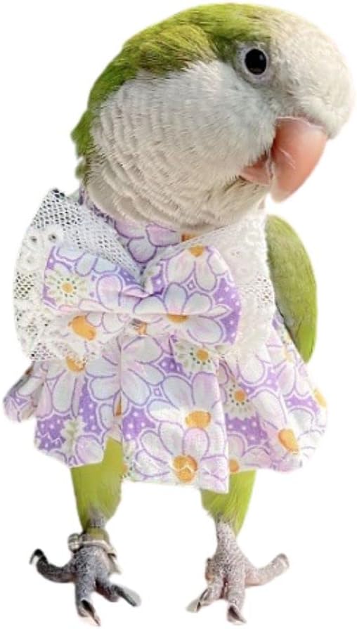 Amazon.com : KUNBIUH Birds Suit Parrots Handmade Pure Cotton Dress Bird ...