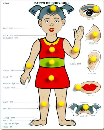 Buy Little Genius Parts of Body - Girl with Big Knob, Red Online at Low ...