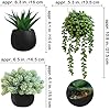 Amazon.com: Winlyn Set of 3 Artificial Succulent Plants in Black ...