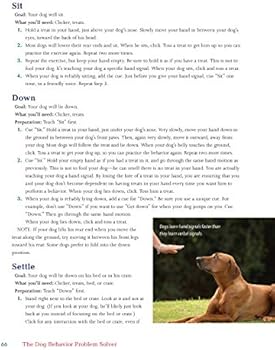 How Do I Fix My Dogs Behavior Problems