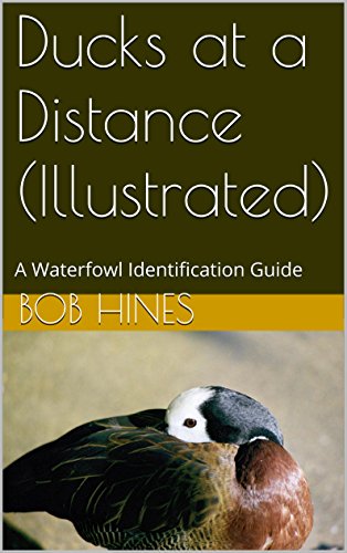 Amazon.com: Ducks at a Distance (Illustrated): A Waterfowl ...