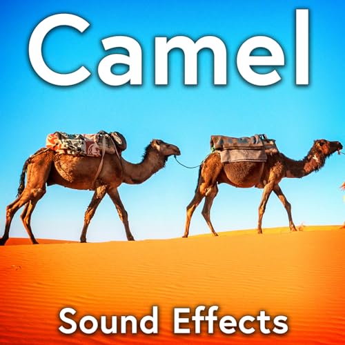 Amazon MusicでSound IdeasのCamel Sound Effectsを再生する