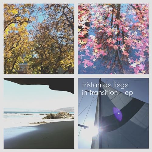 Play In Transition - EP by Tristan de Liège on Amazon Music