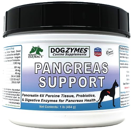 Fueling Fido's Pancreas: The Top 10 Dog Foods for a Healthy Digestive ...