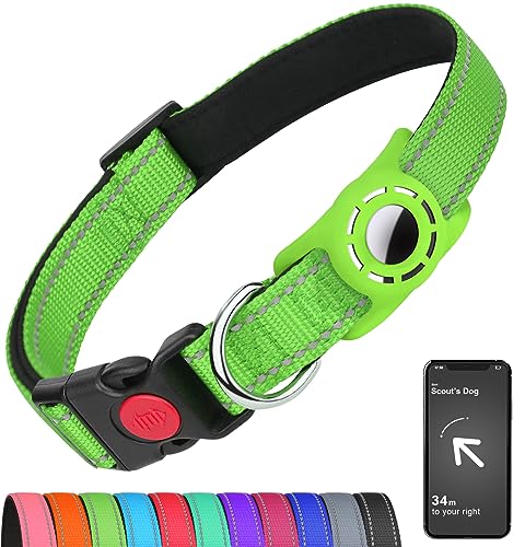 Reflective Dog Collar – The 15 best products compared - Wild Explained