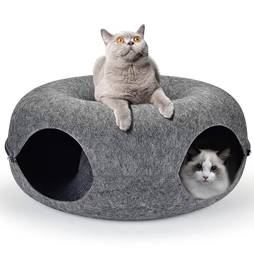 Cat Donut – The 15 best products compared - Wild Explained