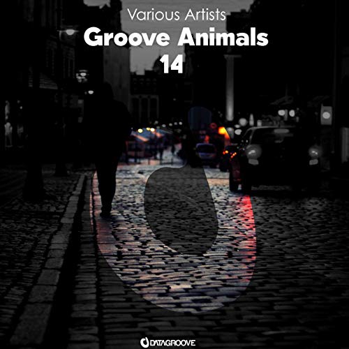 Amazon.com: Groove Animals 14 : Various artists: Digital Music