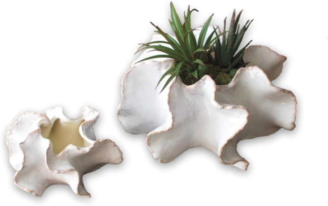 Amazon.com: Kalalou CHN1123 Ceramic Shell Vase - Shell Pot and Sea ...