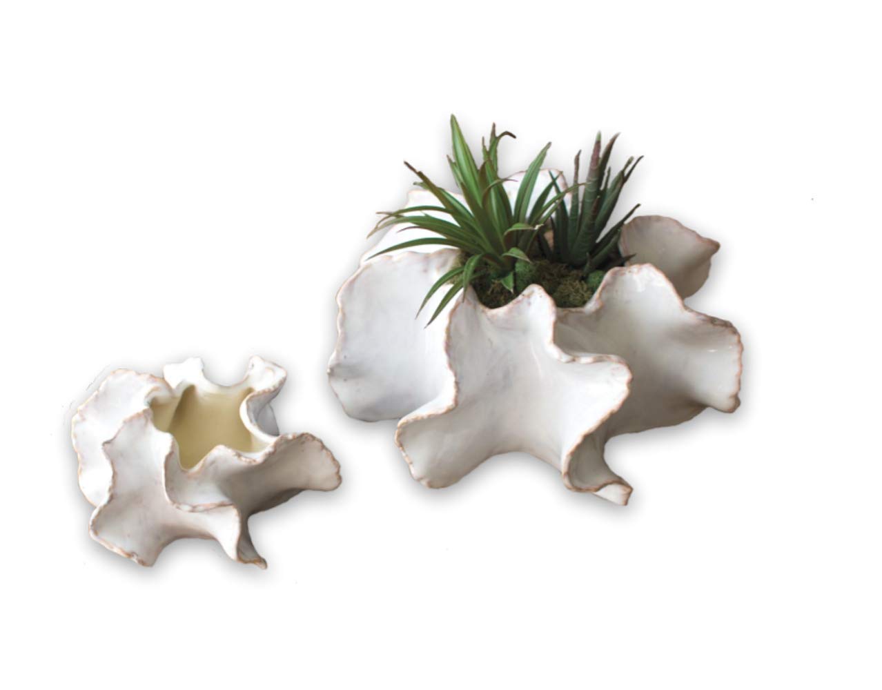 Kalalou CHN1123 Ceramic Shell Vase - Shell Pot and Sea Shell Flower Pot ...