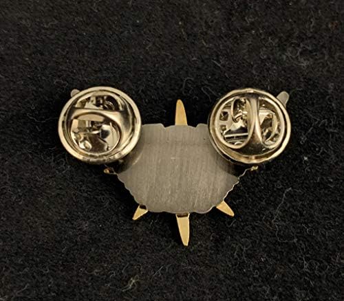 Amazon.com: US Border Patrol Tactical Unit BORTAC USBP Agent ...