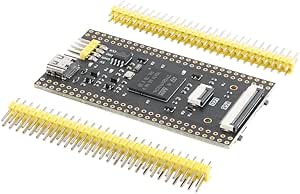 Amazon.com: EC Buying STM32 Development Board STM32H743XIH6 Core Board ...