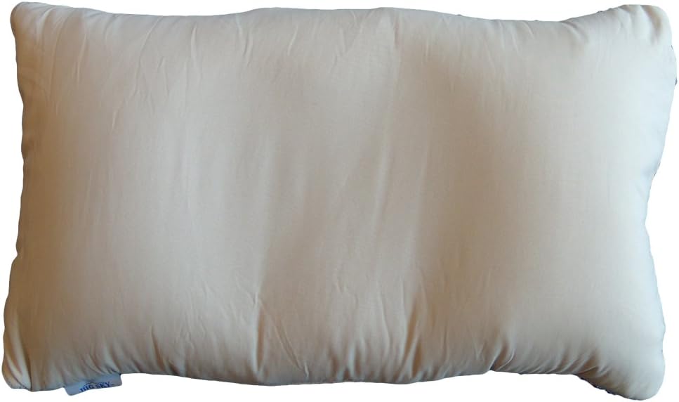 Amazon.com: Big Sky International Dreamsleeper Deluxe Inflatable Pillow ...