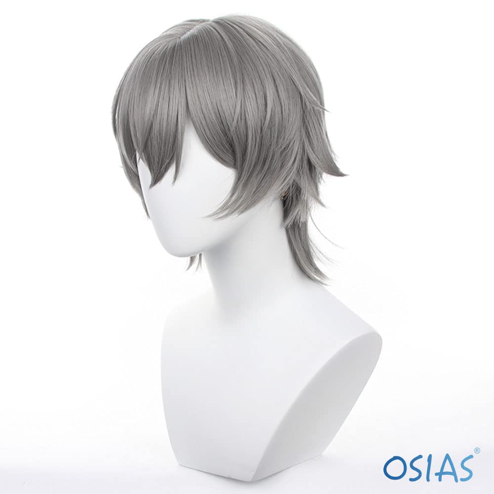 Snapklik.com : Grey Straight Short Wig For Caelus Cosplay From Honkai ...
