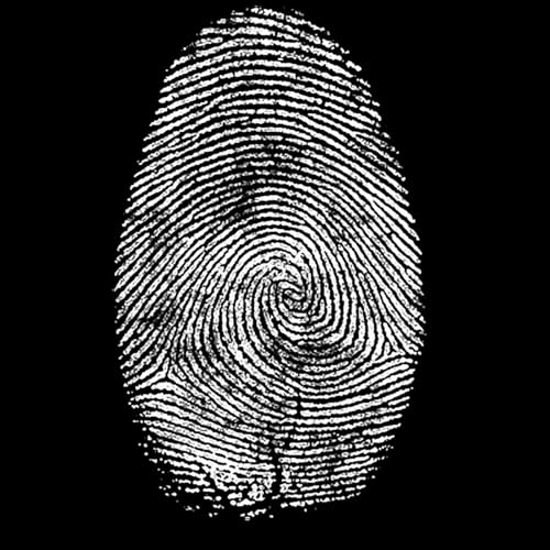 Amazon Music - Basic HouseのVISA Prick - Amazon.co.jp