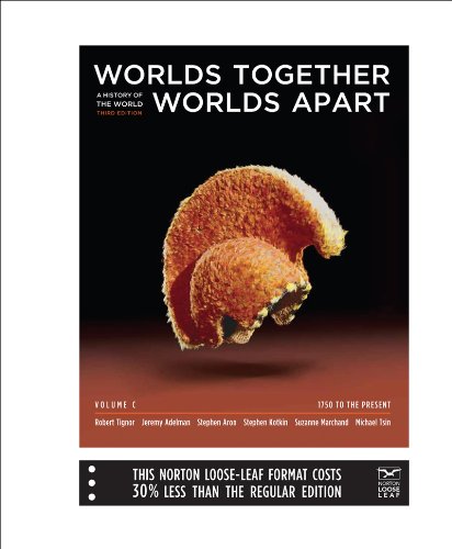 Worlds Together, Worlds Apart: A History of the World: 1750 to the ...