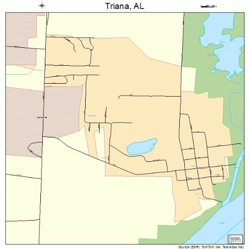 Large Street & Road Map of Triana, Alabama AL - Printed poster size ...