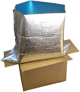 Amazon.com : Foil Insulated Box Liners, 10" x 10" x 10" - 5/Case : Box ...