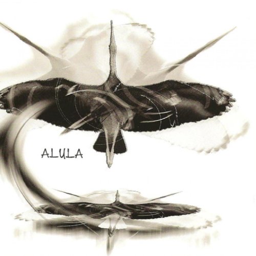 Amazon.com: Alula : Various artists: Digital Music