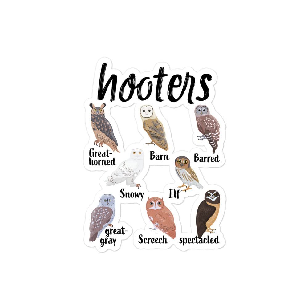New Hooters Owl