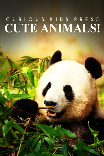 Cute Animals! - Curious Kids Press: (Picture book, Children's book ...