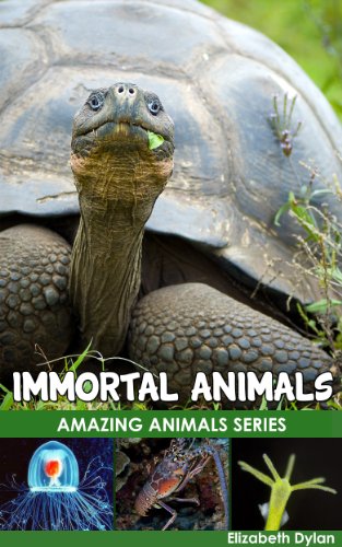 Immortal Animals - Amazing Animals (Amazing Animal Series Book 4) eBook ...