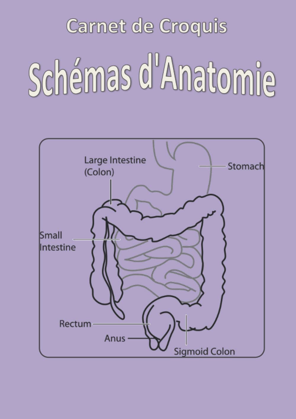 Buy Carnet de croquis Schémas d’anatomie: cahier de dessin d’Anatomie ...