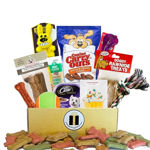 Unleashing the Best: 10 Must-Try Dog Box Subscriptions to Keep Your Pup ...