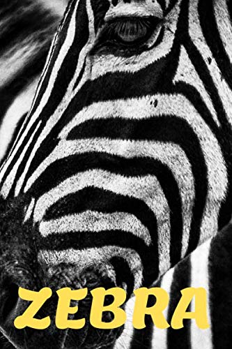Zebra: Notebook with Animals for Kids, Notebook for Coloring Drawing ...