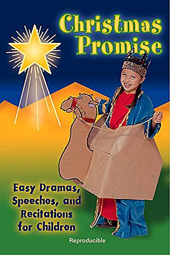 Christmas Promise: Augustine, Peggy: 9780687064977: Amazon.com: Books