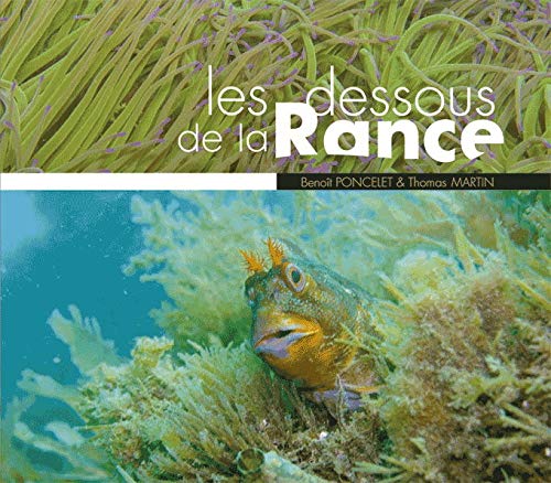 Amazon.in: Buy Les dessous de la rance - Benoît poncelet et thomas ...