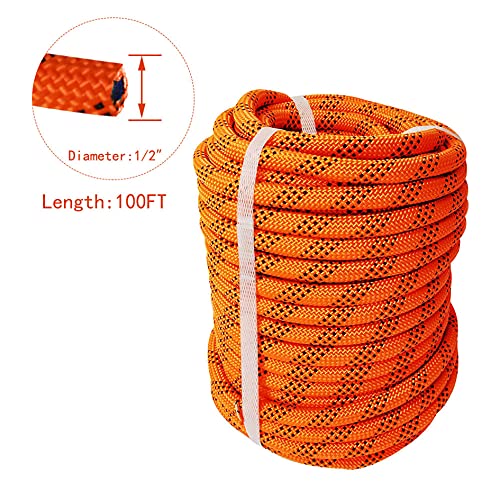 Snapklik.com : Elfinrm 1/2 In Double Braid Polyester Rope 100 FT Nylon ...