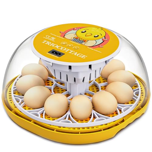 Best Home Egg Incubator: Hatching Success for Your Feathered Friends ...