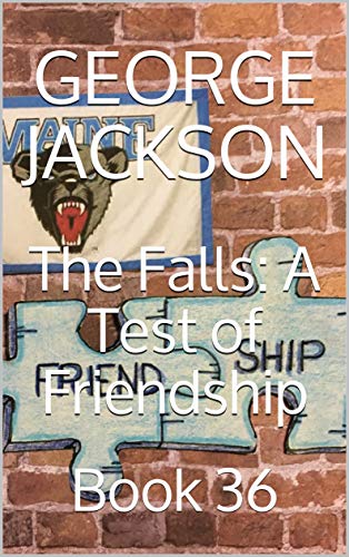 The Falls: A Test of Friendship: Book 36 (The Falls small town mystery ...