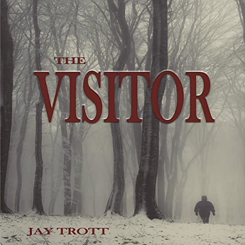 Amazon.com: The Visitor (Audible Audio Edition): Jay Trott, Jay Trott ...