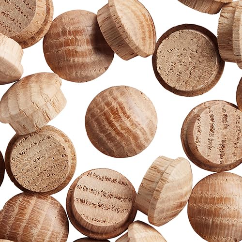 Amazon.com: WidgetCo 5/8" Oak Button Top Wood Plugs, Woodworking Plugs ...