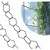 Amazon.com : 20PCS Chain Trellis for Climbing Plants Indoor - DIY Path ...