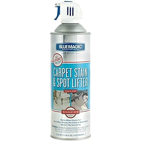 Amazon.com: Blue Magic 900 Carpet Stain & Spot Lifter - 22 oz. Aerosol ...