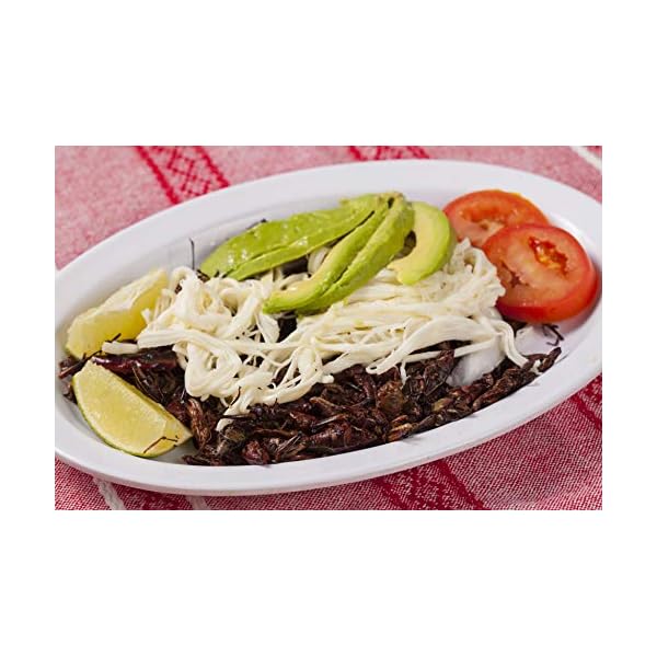 Chapulines - Grasshoppers Real de Oaxaca 2 oz - Insect Gourmet - Your ...