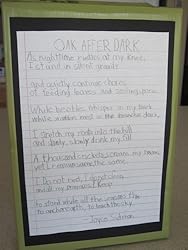 Dark Emperor and Other Poems of the Night: A Newbery Honor Award Winner ...