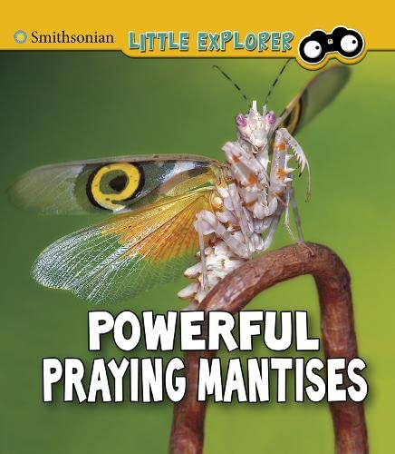 Powerful Praying Mantises (Insect Explorer): Melissa Higgins ...