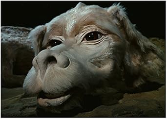 The Neverending Story Falcor 8 x 10 Inch Photo at Amazon's ...